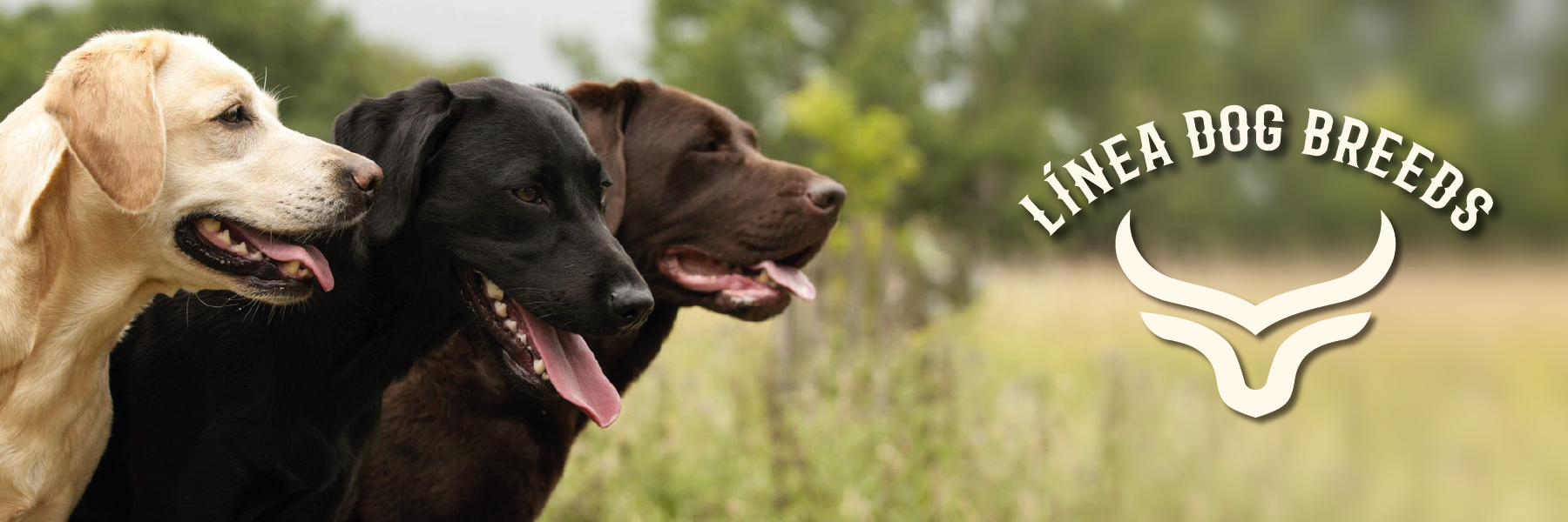 DOG BREEDS – Ranch & Corral NOT EVERYONE USES THE BEST