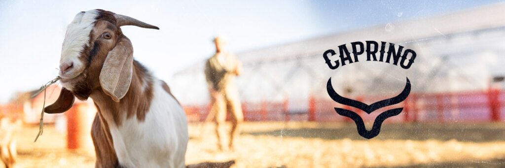 Caprino – Ranch & Corral