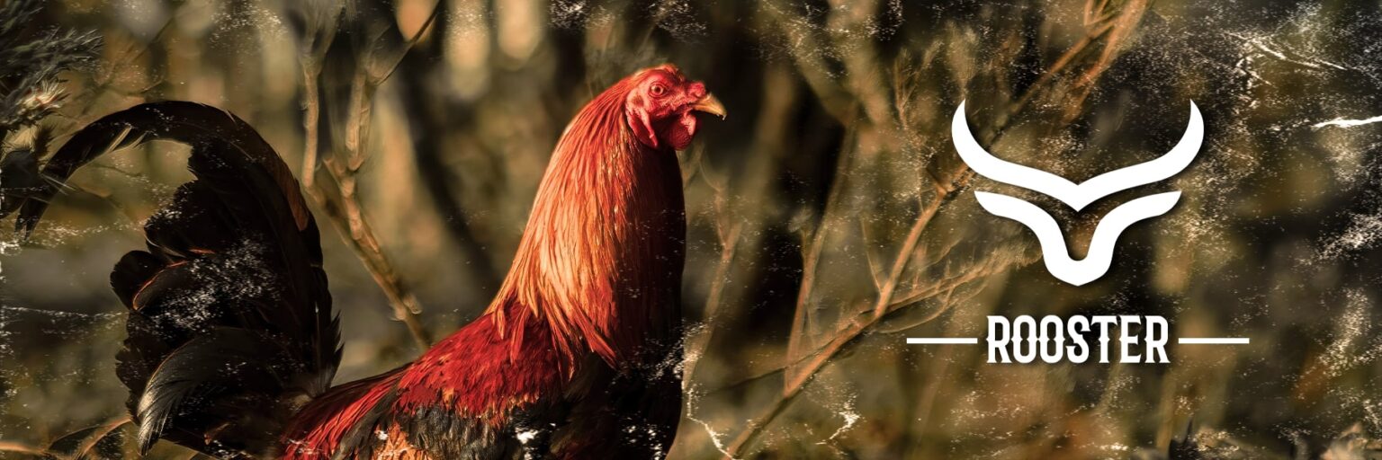 Rooster – Ranch & Corral